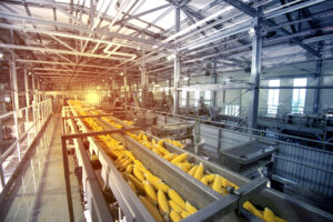 Food Processing Plant Construction: From Field To Fork In 2025