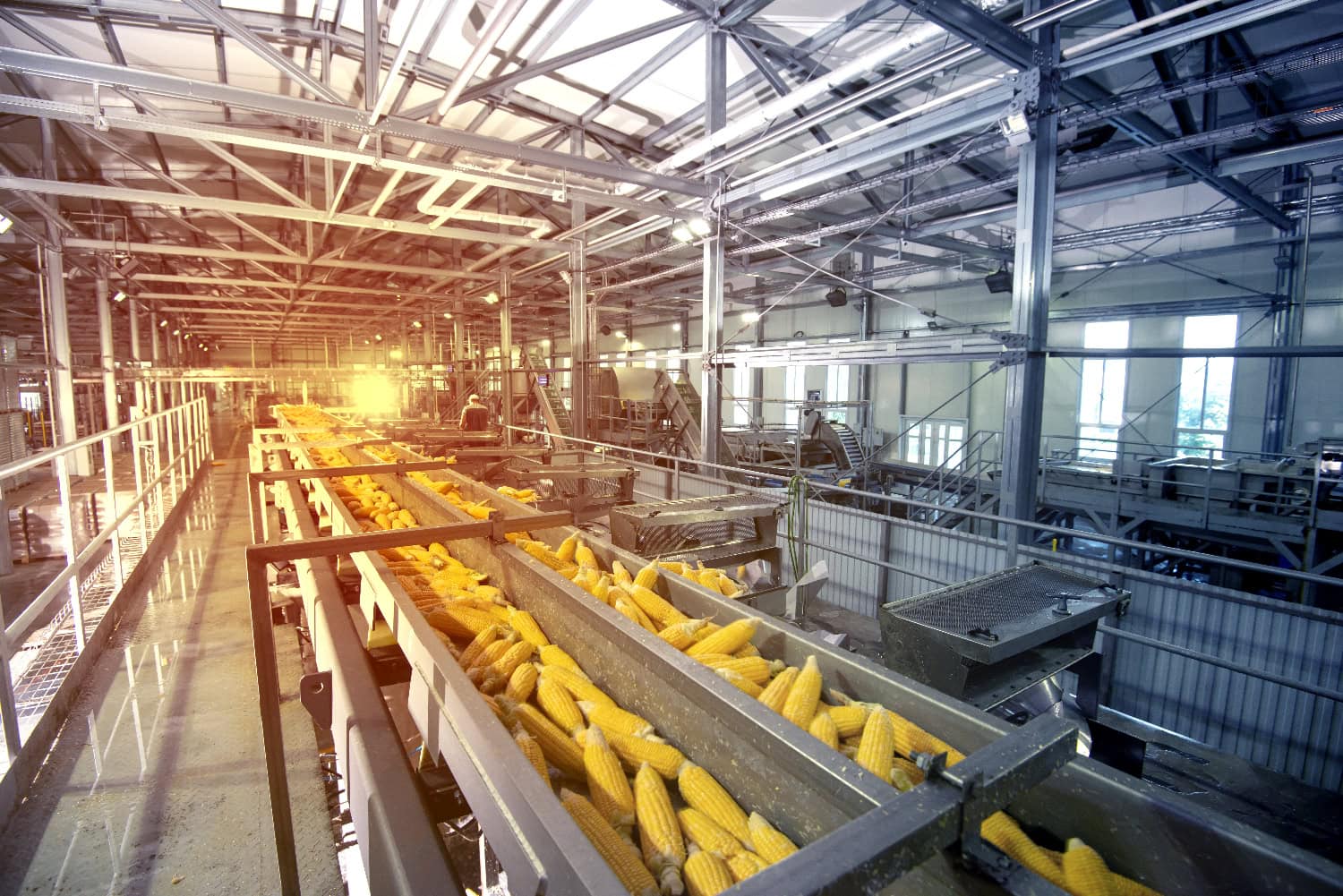 Food Processing Plant Construction: From Field To Fork In 2025